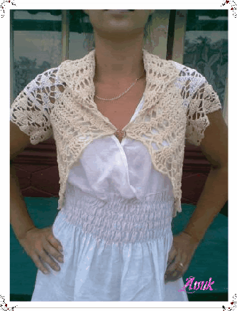 Bolero crosetat 1 - B - Articole crosetate pentru adulti partea a 51-a